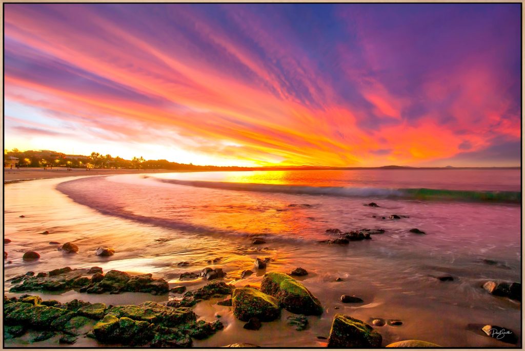 THE MONARCH - Paul Smith Images